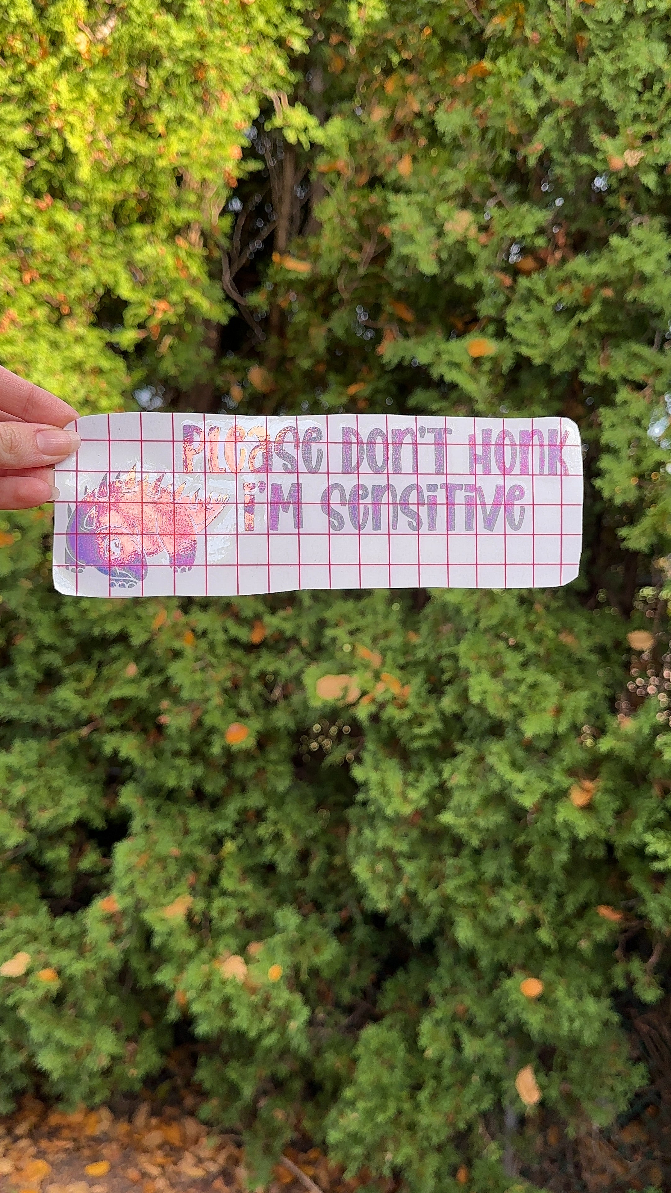 Car Decals and Hand Painted Wood Signs – A to B Creations